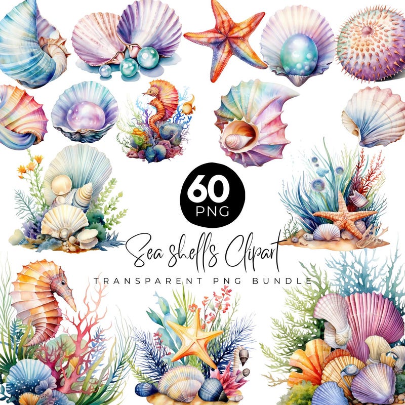 Sea Horses and Shells - Etsy