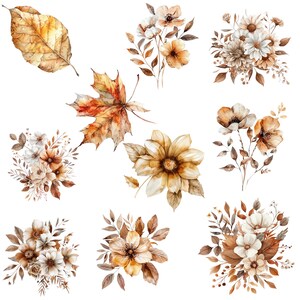 Autumn Flowers Clipart, Terracotta Bohemian Clipart, Floral Watercolor ...