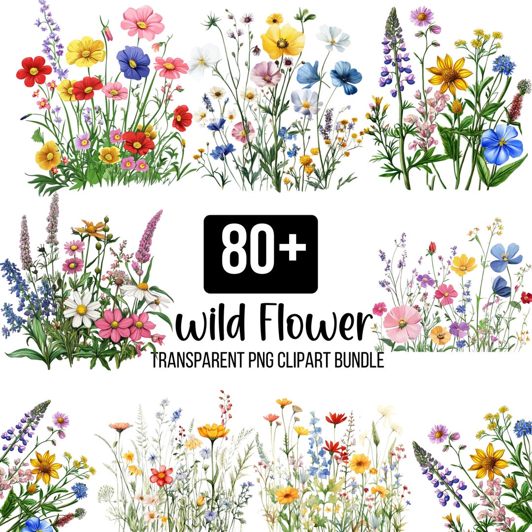 80+ Wildflower Clipart Bundle, Watercolor Wildflower Png, Wildflower ...