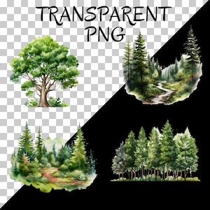 Watercolor Forest Trees Clipart, Pine Trees Png, Greenery Clipart ...