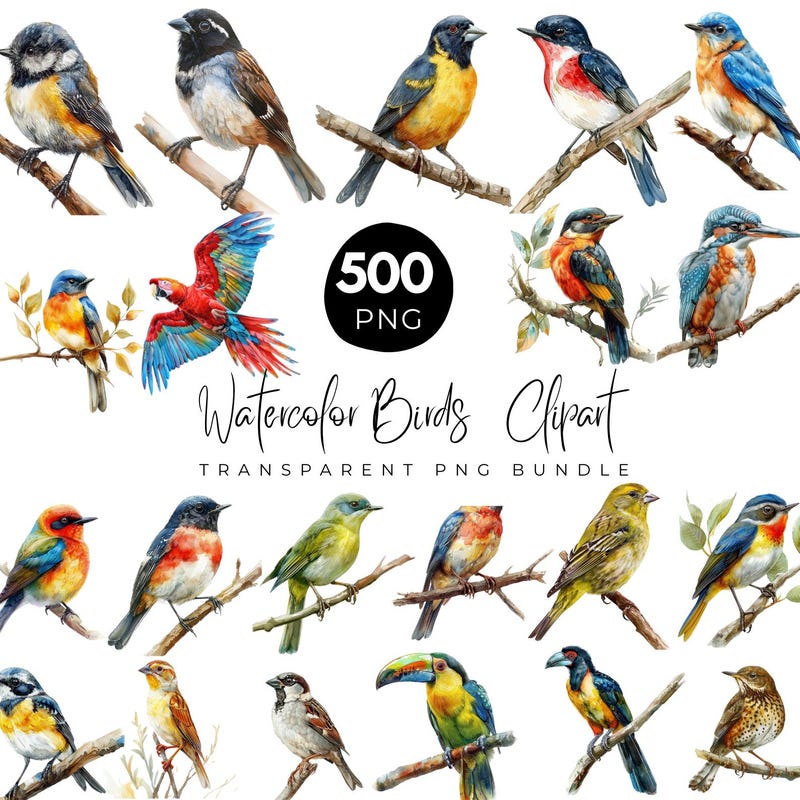 Garden Birds Drawing - Etsy UK