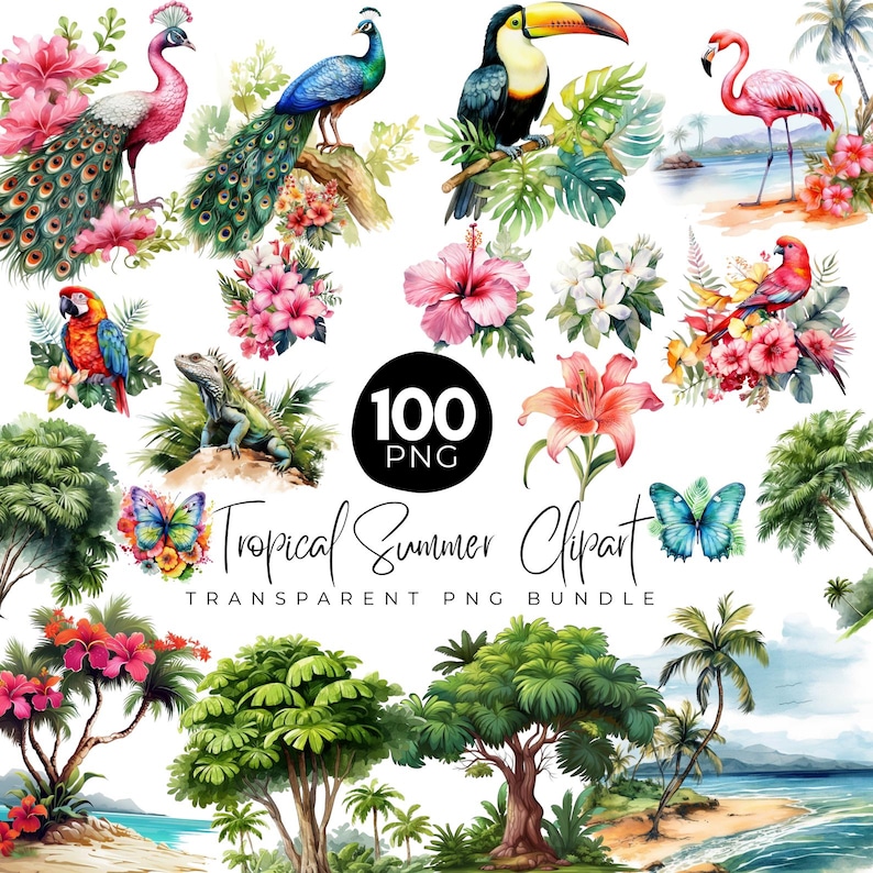 100 Tropical Clipart Bundle, Tropical Summer Watercolor Clipart PNG ...