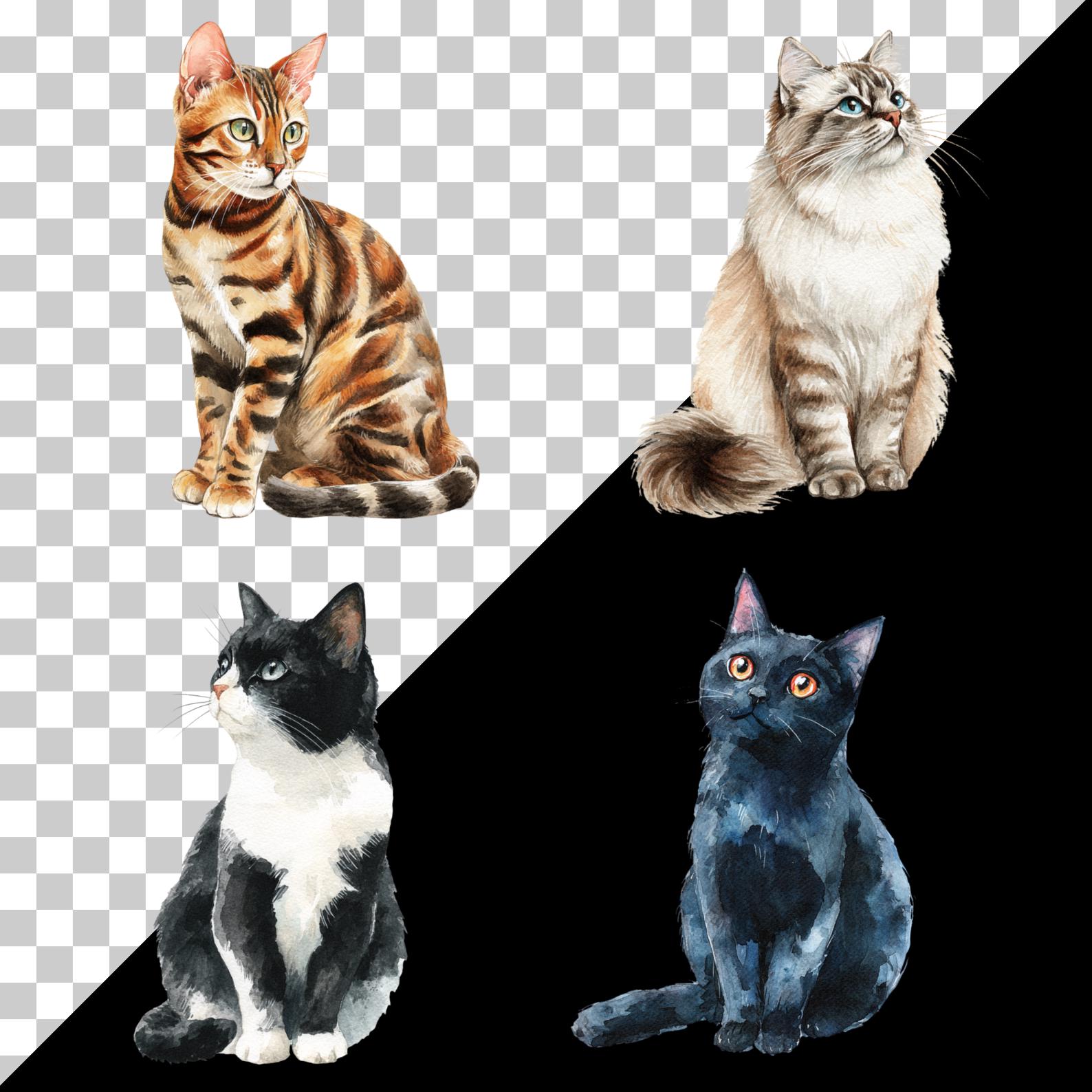 147 Watercolor Cats Clipart Bundle, Cute Cat PNG, Kitten Graphics, Cat ...