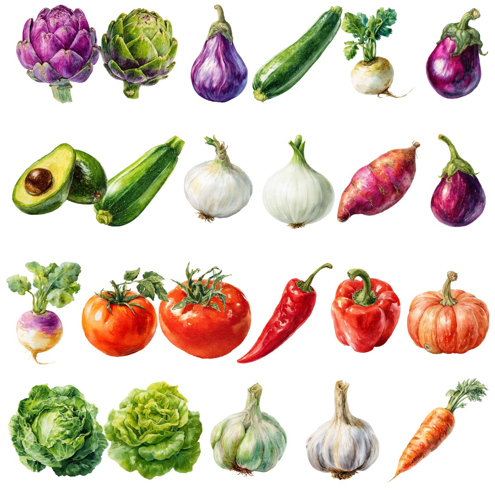 149 Vegetables Clipart, Watercolor Veggie PNG Bundle, Vegetables ...
