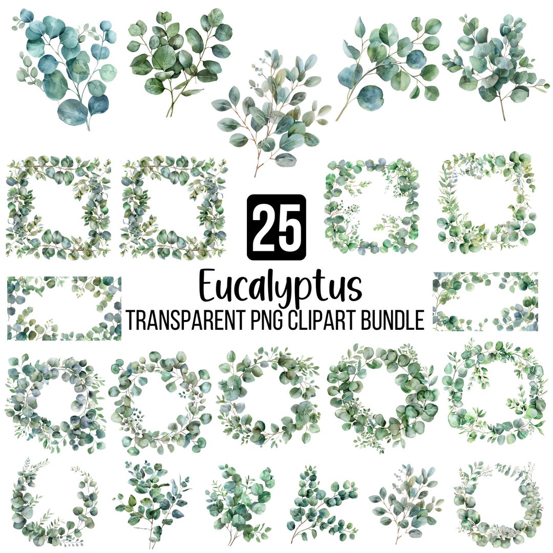 Eucalyptus PNG Bundle, Watercolor Eucalyptus Clipart, Watercolor ...