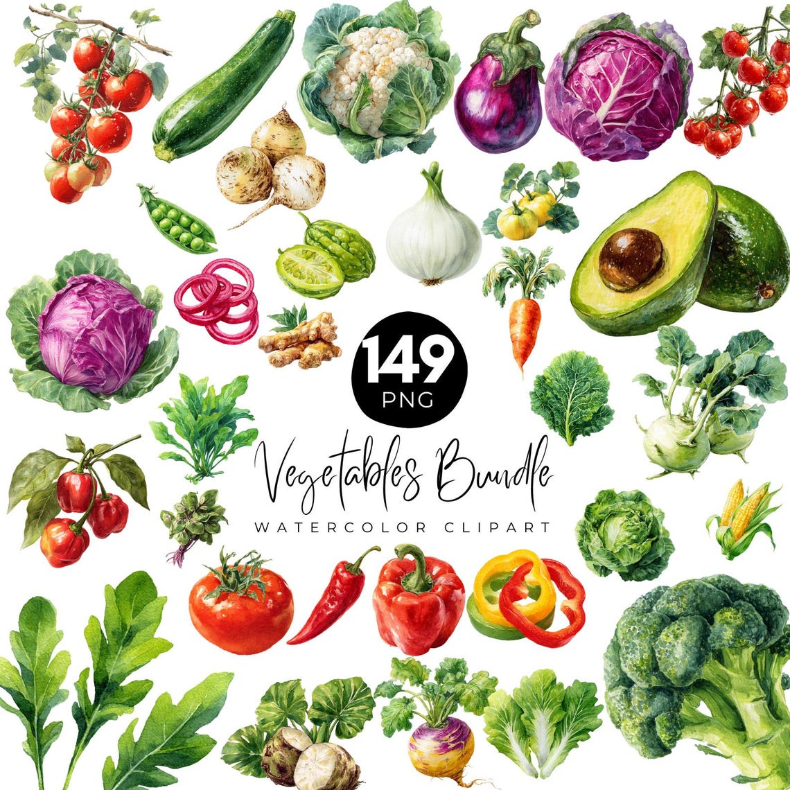 149 Vegetables Clipart, Watercolor Veggie PNG Bundle, Vegetables ...
