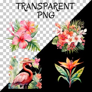 Tropical Flower Clipart Bundle, Tropicana, Flamingo Clipart, Tropical ...