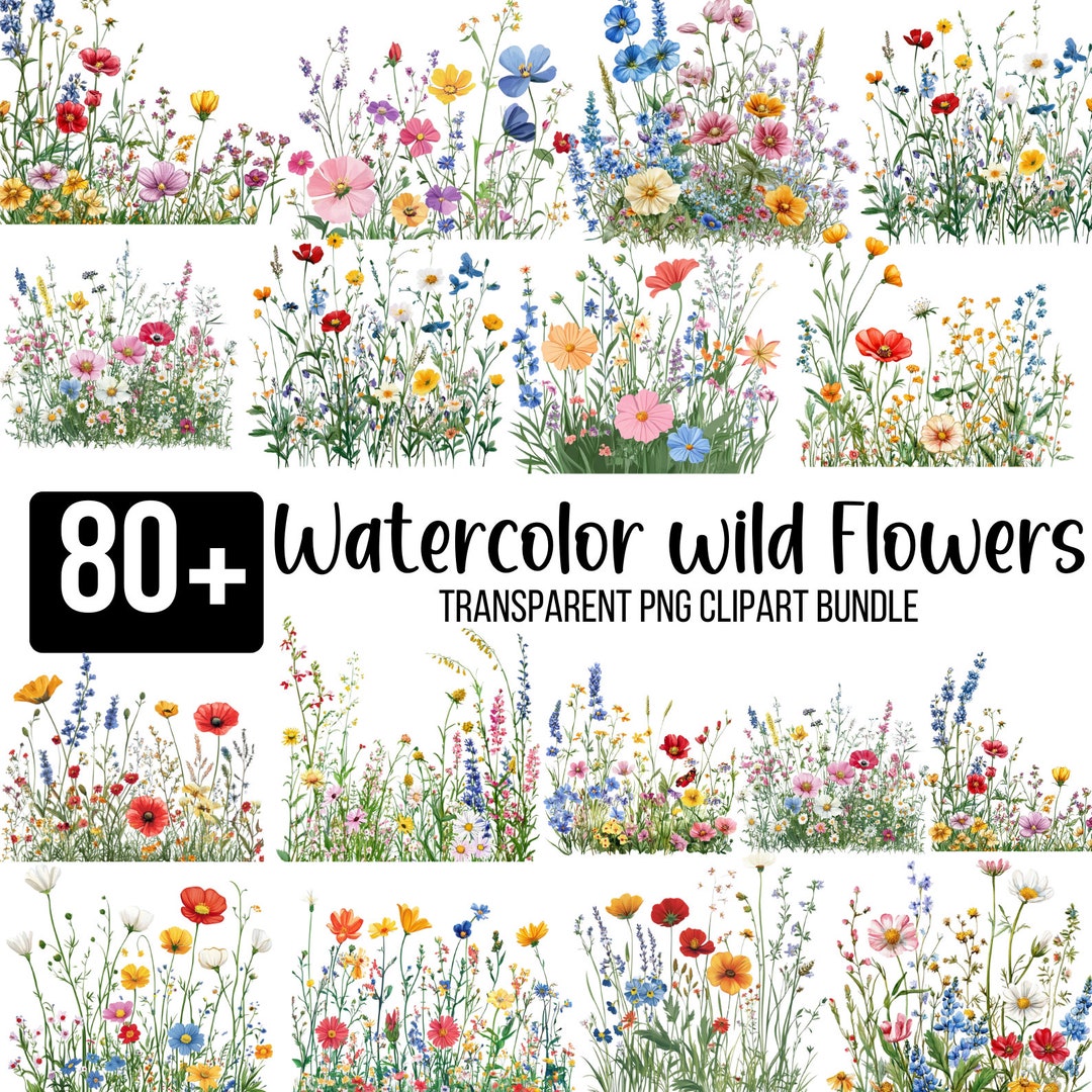 80+ Wildflower Clipart Bundle, Watercolor Wildflower Png, Wildflower ...