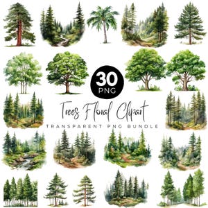 Watercolor Forest Trees Clipart, Pine Trees Png, Greenery Clipart ...