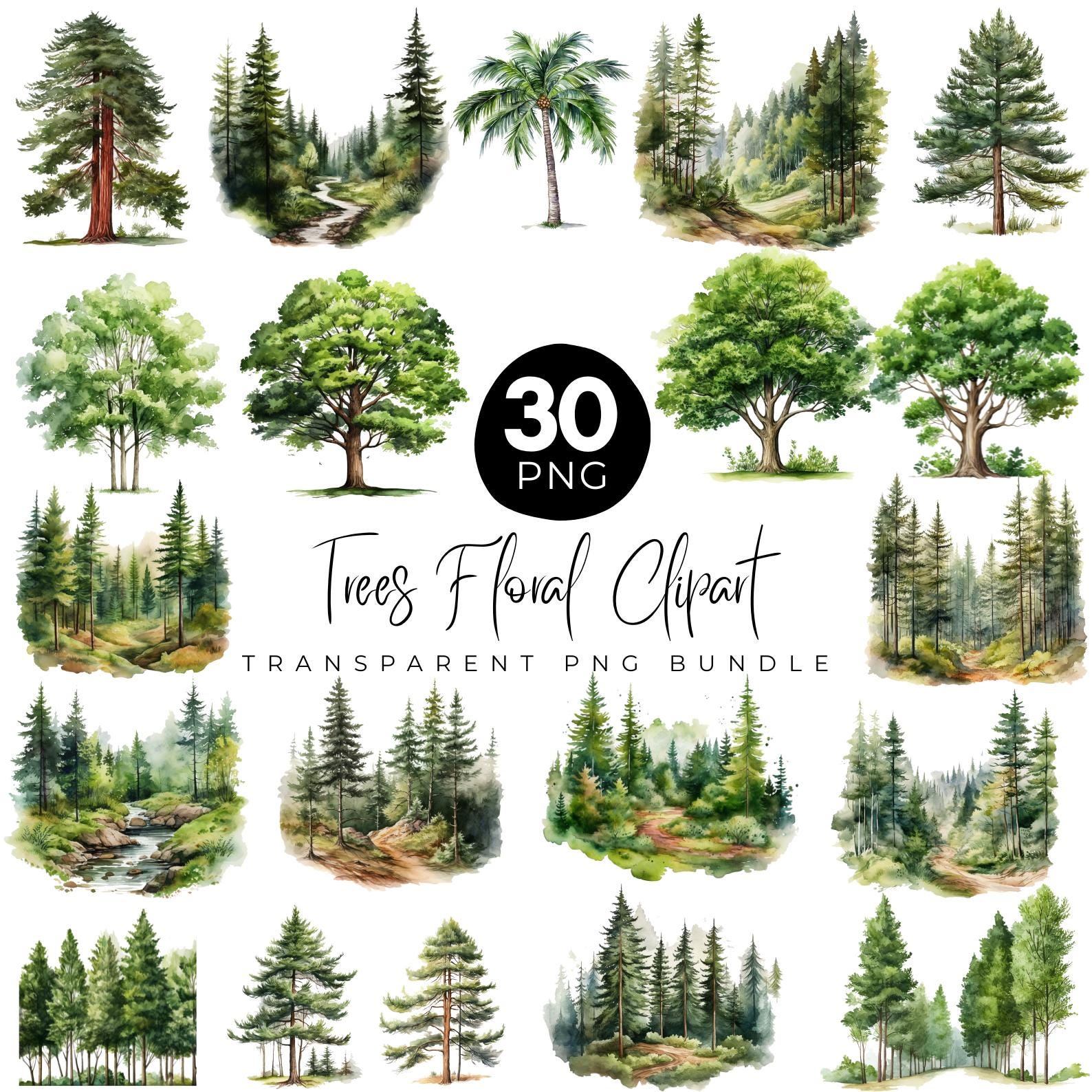 Watercolor Forest Trees Clipart, Pine Trees Png, Greenery Clipart ...