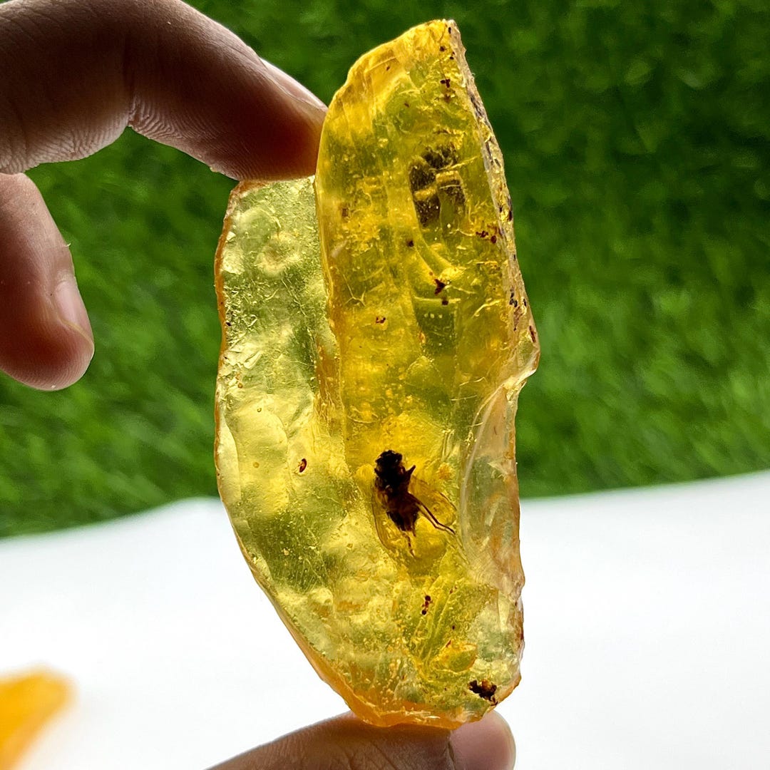Rare Big Amber Rough Stones With Insects | Raw Amber Nuggets for ...