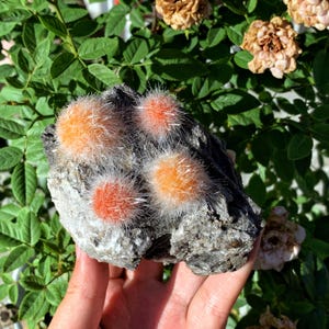 Rare Zeolite Mineral Specimen,zeolite Raw Gemstone,quartz Crystal ...