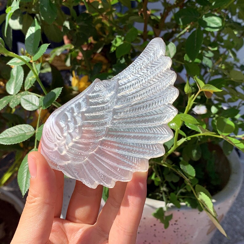 3.8"+ Natural Selenite Wing,quartz Wing,crystal Wing,wing Sculpture ...