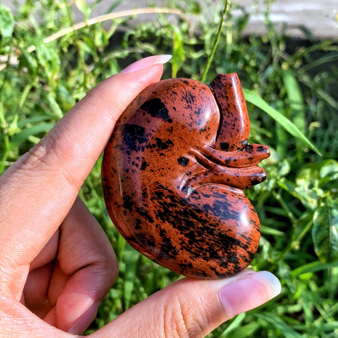 2.3" Natural Red Obsidian Kidney,quartz Crystal Kidney,kidney Model ...