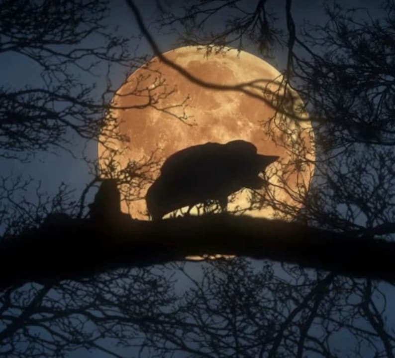 Curse Removal & Transfer Back to the Sender Spell | Transfer Black ...