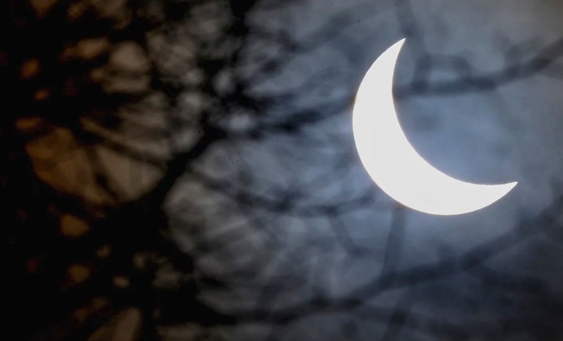 Curse Removal & Transfer Back to the Sender Spell | Transfer Black ...