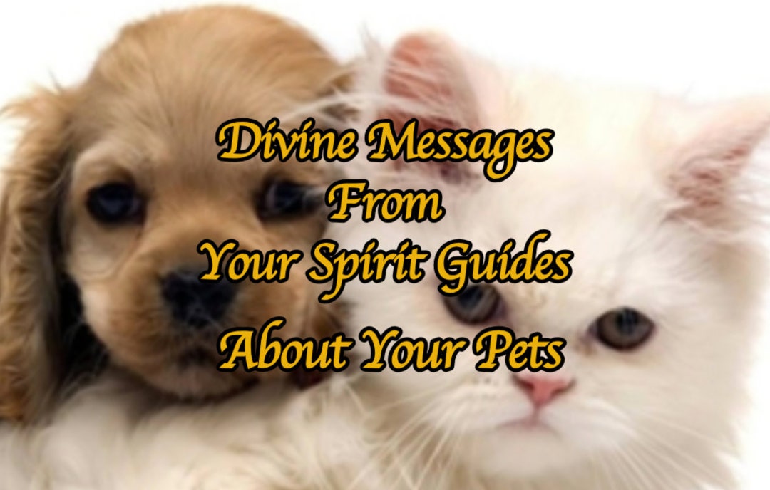 Fast Divine Messages From Your Spirit Guides About Your Living Pets ...