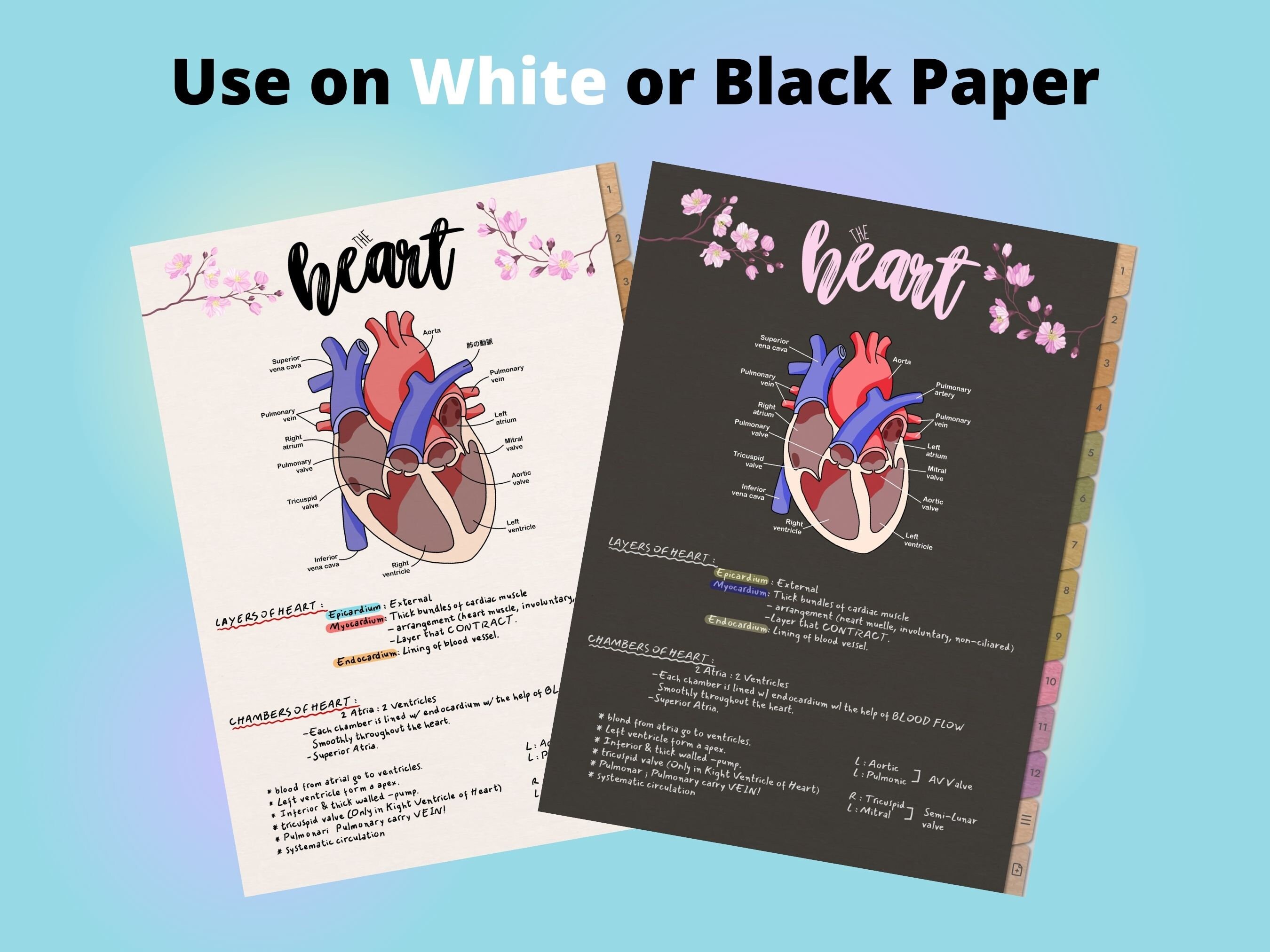 110 Anatomy Organ Stickers, Goodnotes Stickers, Notability Stickers ...