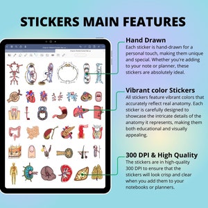 Anatomy Organ Stickers: 110 Study Stickers for Goodnotes, Notability ...