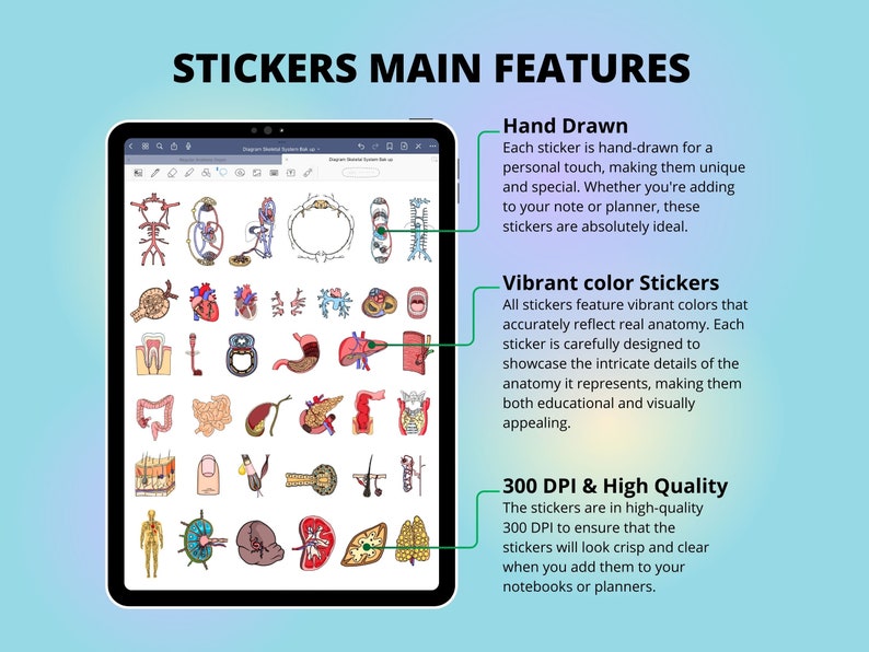110 Anatomy Organ Stickers, Goodnotes Stickers, Notability Stickers ...