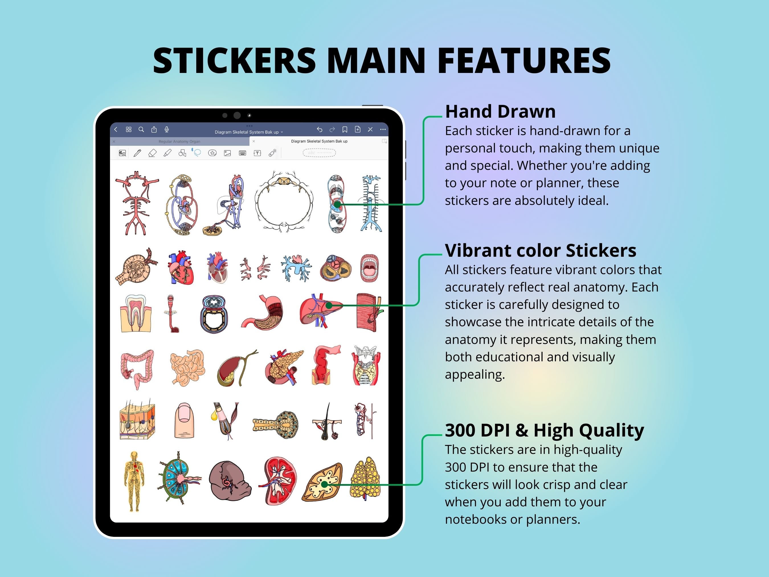 110 Anatomy Organ Stickers, Goodnotes Stickers, Notability Stickers ...