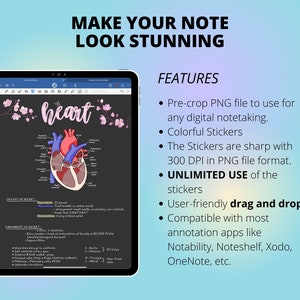 110 Anatomy Organ Stickers, Goodnotes Stickers, Notability Stickers ...