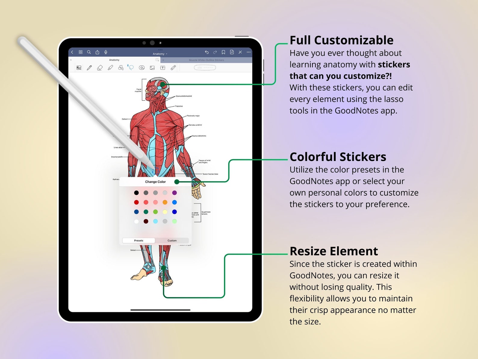 105 Customizable Muscle Stickers, Goodnotes Stickers, Ultimate Muscle ...