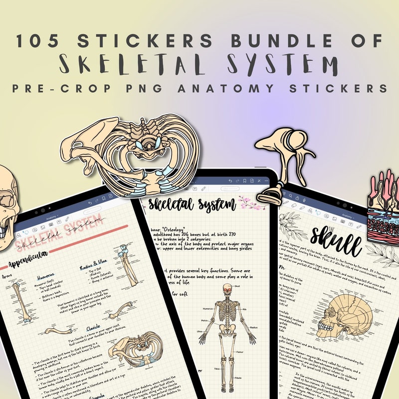 Anatomy Png Hand Drawn - Etsy