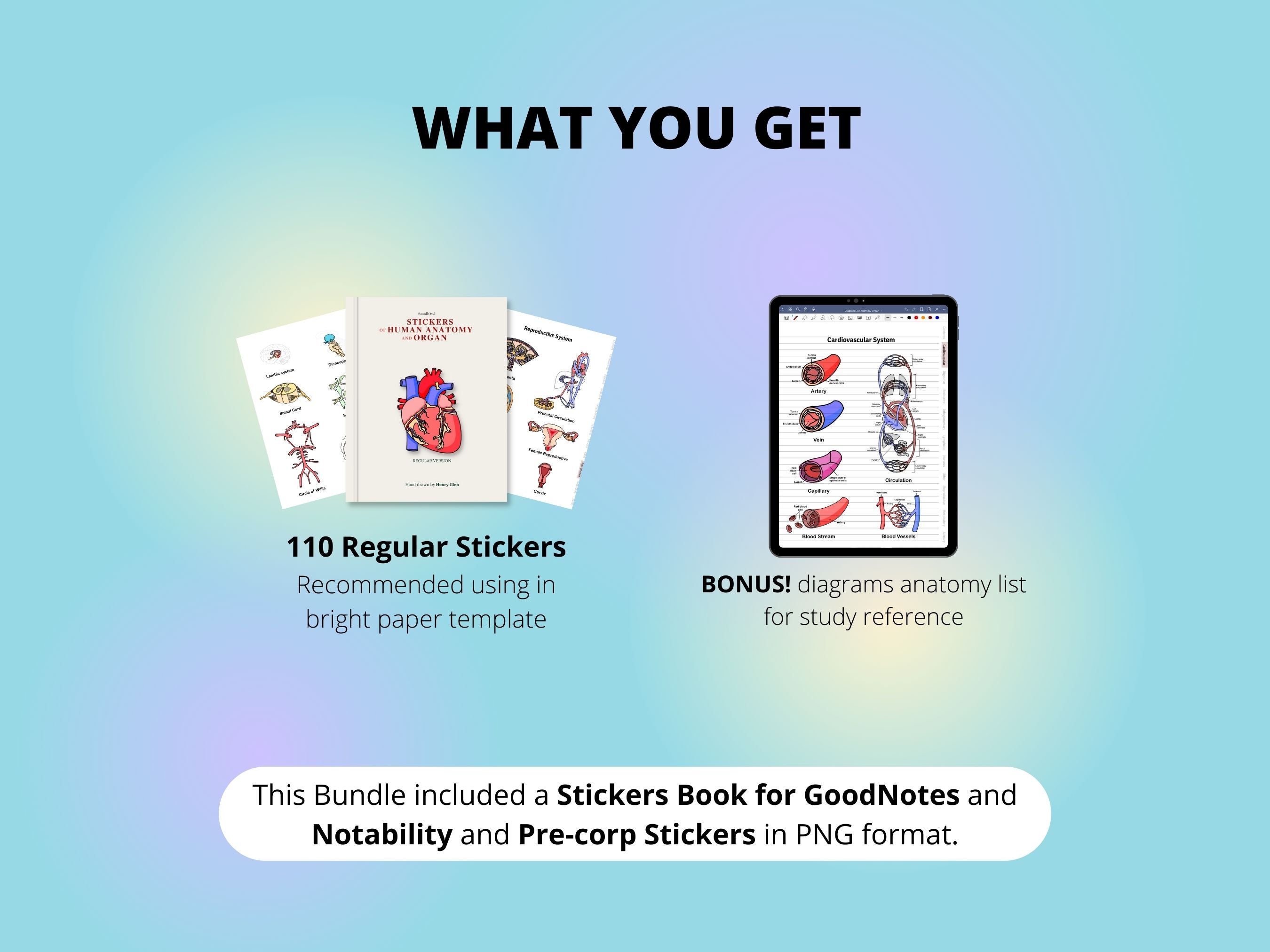 110 Anatomy Organ Stickers, Goodnotes Stickers, Notability Stickers ...