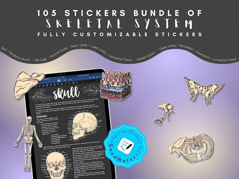 Skeletal System Stickers: 105 Customizable Anatomy Stickers for ...