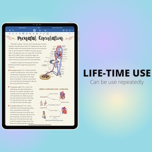 110 Anatomy Organ Stickers, Goodnotes Stickers, Notability Stickers ...