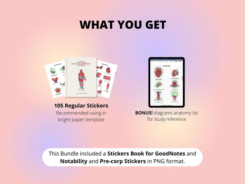 Anatomy Muscle Stickers: 105 PNG Stickers for Goodnotes, Notability ...