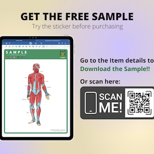 105 Customizable Muscle Stickers: Goodnotes Study & Planning (digital ...