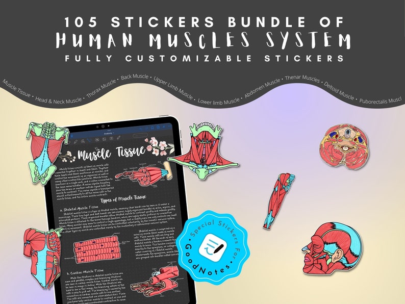 105 Customizable Muscle Stickers, Goodnotes Stickers, Ultimate Muscle ...