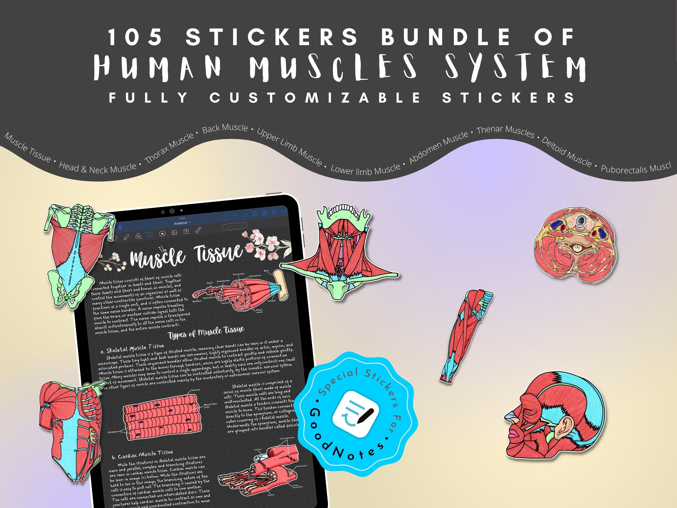 105 Customizable Muscle Stickers, Goodnotes Stickers, Ultimate Muscle ...