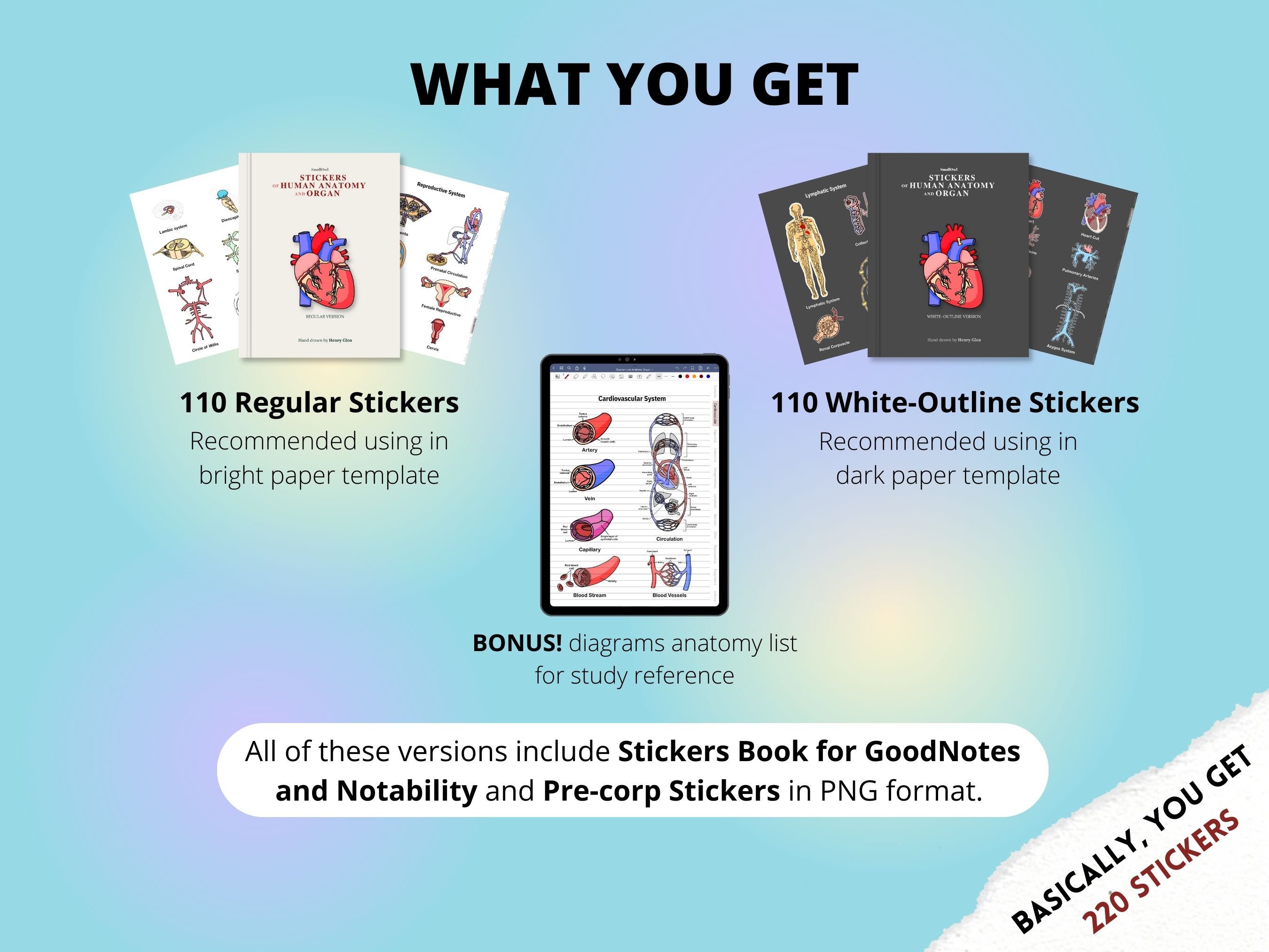 110 Anatomy Organ Stickers Goodnotes Stickers Notability - Etsy