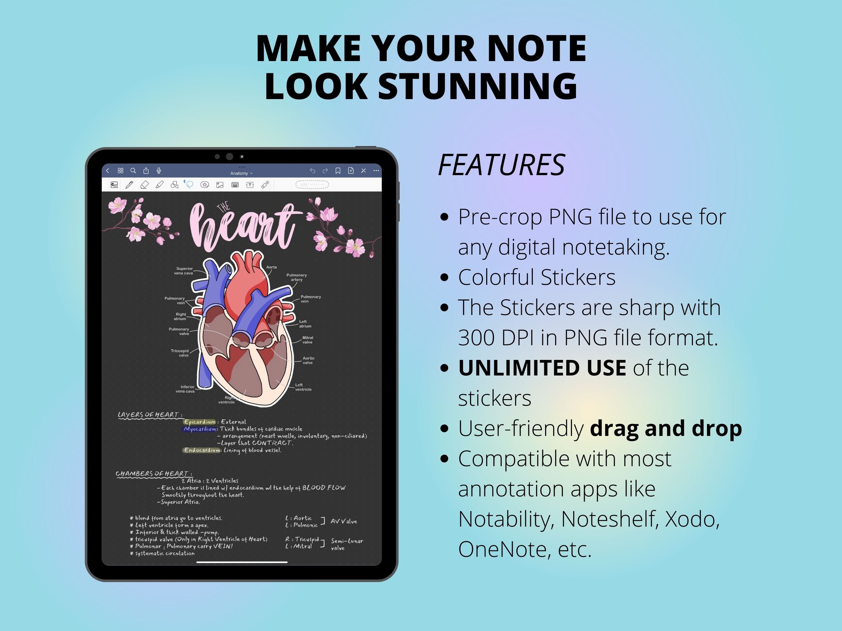 110 Anatomy Organ Stickers Goodnotes Stickers Notability - Etsy