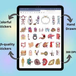 110 Anatomy Organ Stickers Goodnotes Stickers Notability - Etsy