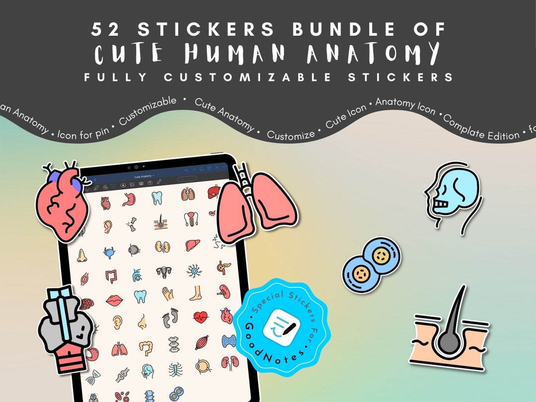 Cute Human Anatomy, Goodnotes Stickers, Biology & Anatomy Digital ...