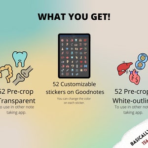 Cute Human Anatomy, Goodnotes Stickers, Biology & Anatomy Digital ...