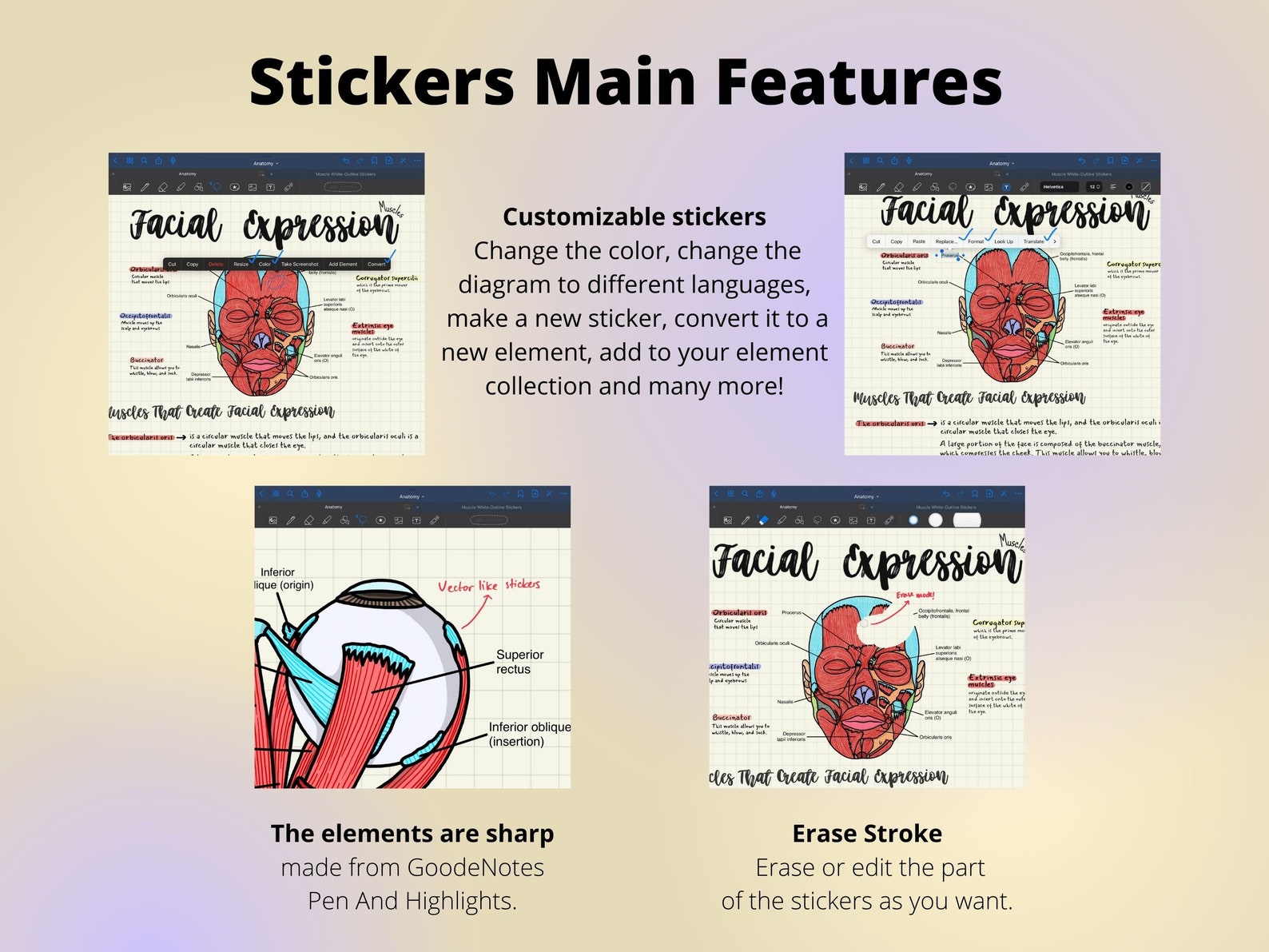 105 Customizable Muscle Stickers, Goodnotes Stickers, Ultimate Muscle ...