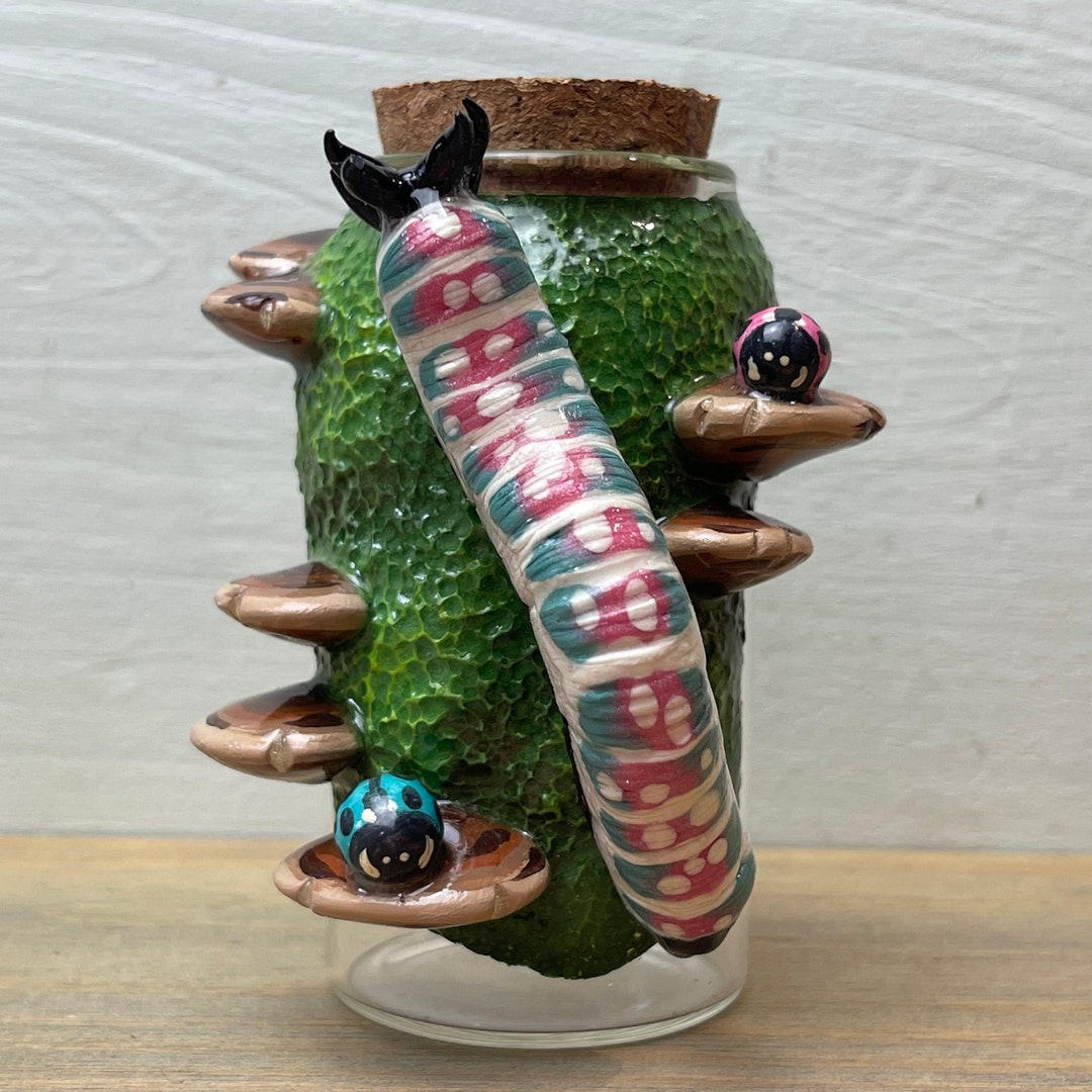 Lexi Flower Caterpillar Flower Mushroom Glass Stash Jar Planter - Etsy