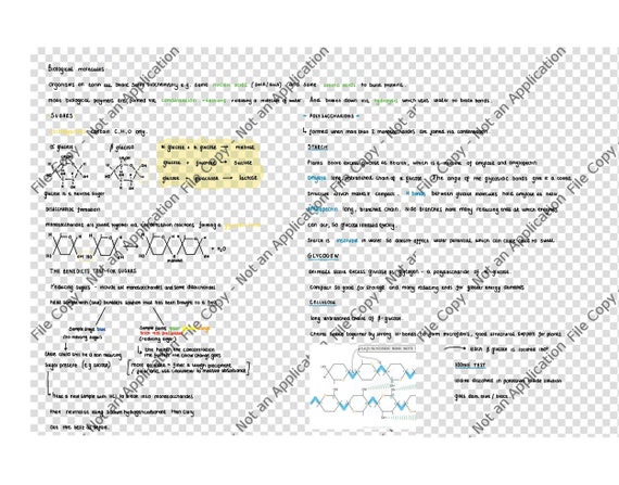 A Level Biology Notes Biological Molecules - Etsy