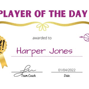 Netball - Player of the Day/match Certificate. Instant Download Plus ...