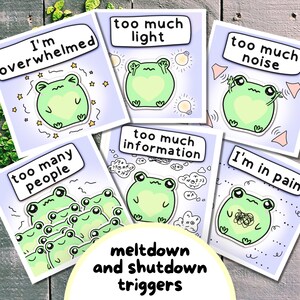 Autism Frog Lover Bundle: Communication Cards, Feelings Flashcards ...