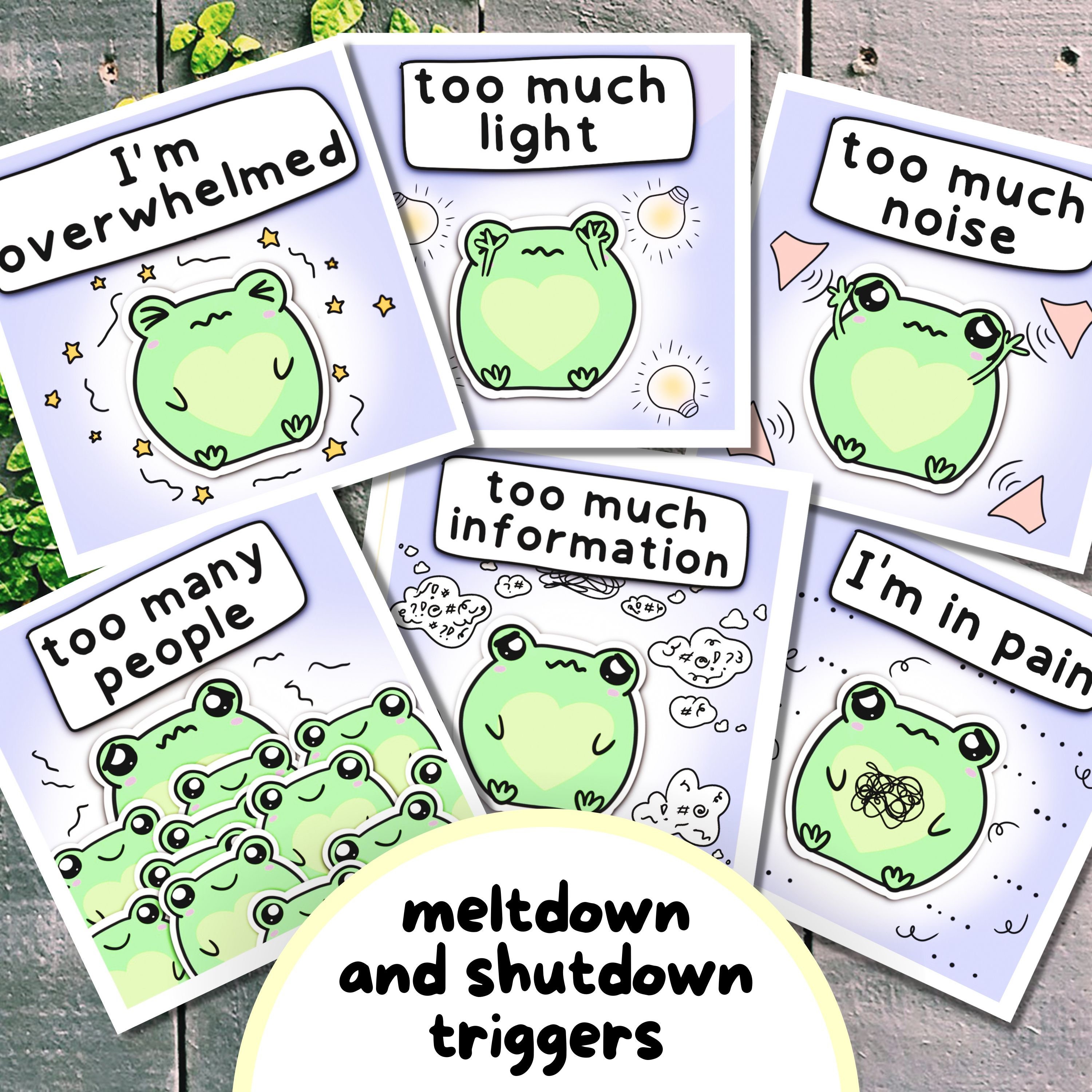 Frog Sensory Overload Communication Cards, ASD Meltdown Printable AAC ...