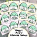 Dinosaur Autism FEELINGS Kit With Communication Cards, Autistic ...
