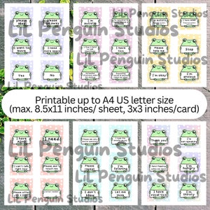 Autism Frog Lover Bundle: Communication Cards, Feelings Flashcards ...