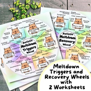 Capybara Autism Calm Down Kit, Self Care PDF, Autistic Meltdown Aid ...