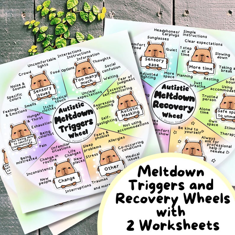 Capybara Autism Calm Down Kit, Self Care PDF, Autistic Meltdown Aid ...